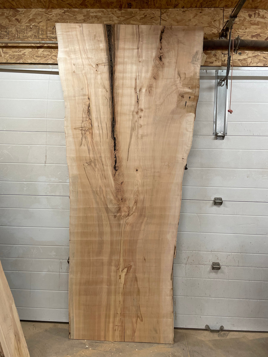 M-02 Huge Sugar Maple Live Edge Slab – Wood Walker Customs